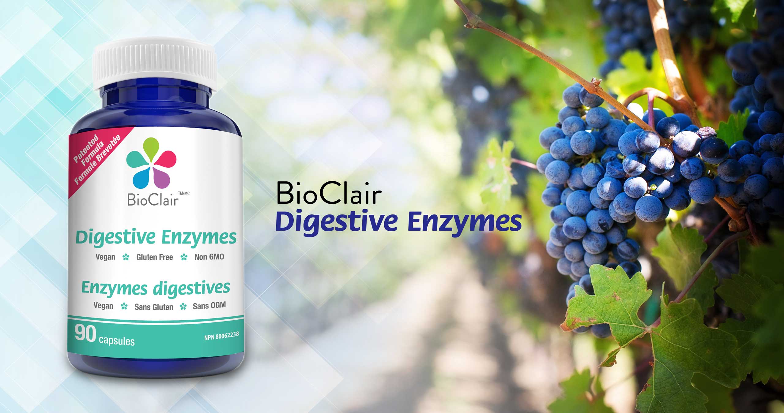BioClair Digestive Enzymes Supplement | Helps Digestion